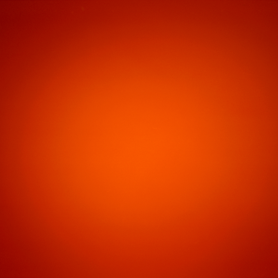 Roonee 247 Fine Arts（ルーニィ・247ファインアーツ）